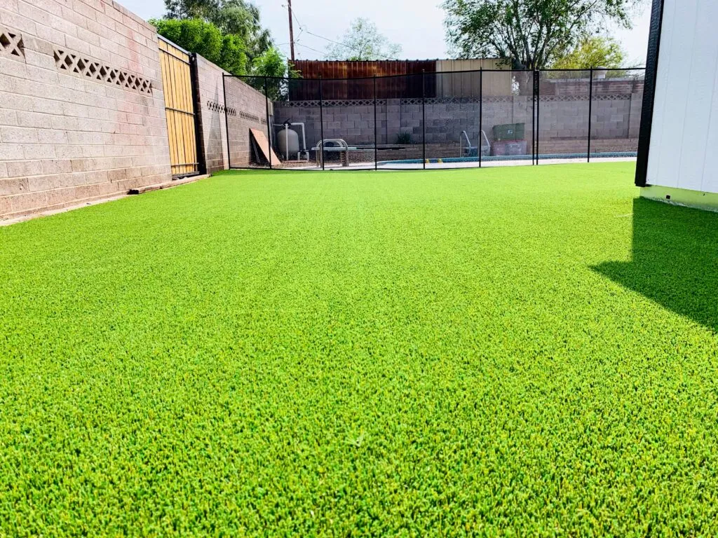 Will Artificial Grass Fade? | Artificial Grass Masters